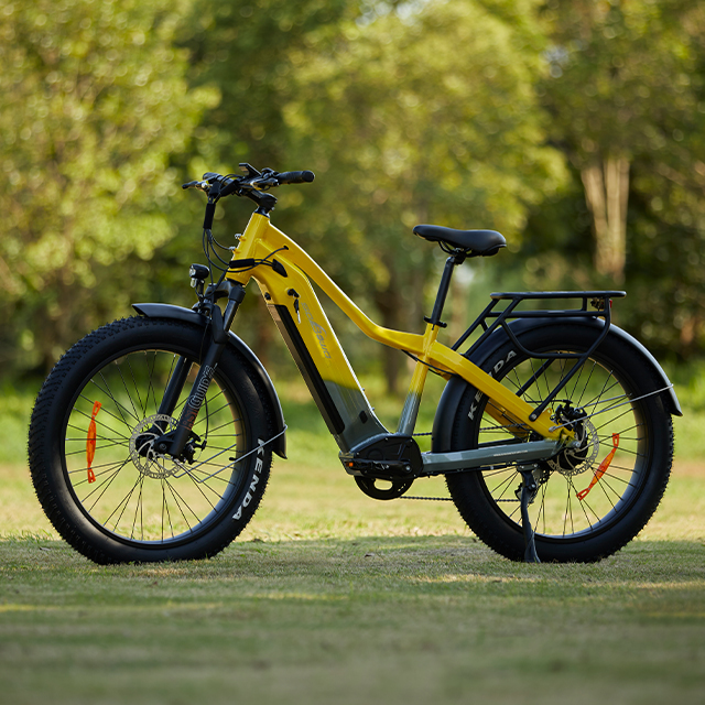 PowerGlide Electric bike |SOBOWO Ebikes